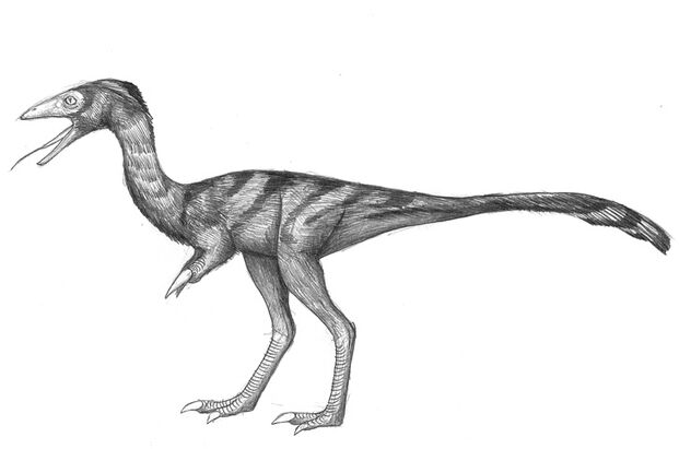 Spec Dinosauria Alvarezsauridae Speculative Evolution Wiki Fandom