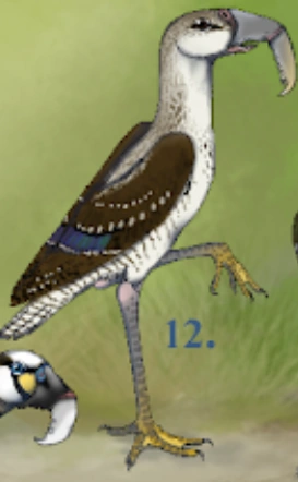 Plovereot | Speculative Evolution Wiki | Fandom