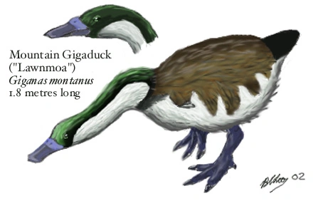 Spec Dinosauria: Anseriformes | Speculative Evolution Wiki | Fandom