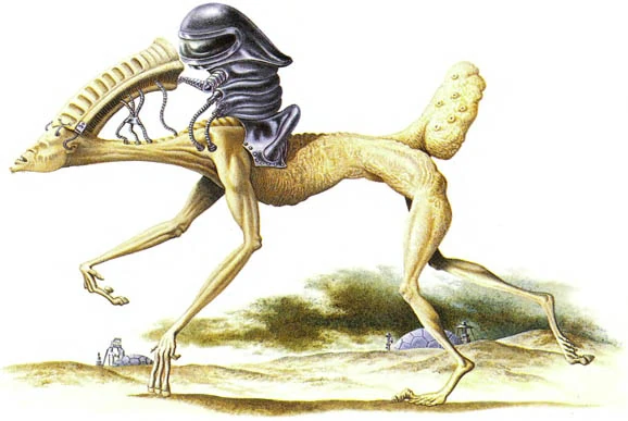 Book Review: Man After Man: An Anthropology of the Future by Dougal ...