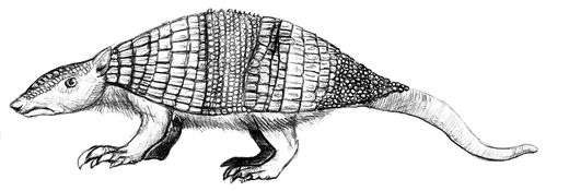 Spec Mammalia Xenarthra Speculative Evolution Wiki Fandom