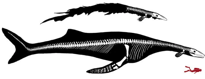Spec: Mosasauria | Speculative Evolution Wiki | Fandom