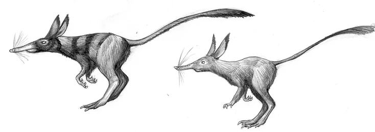 Spec Mammalia: Proboscobipedidae | Speculative Evolution Wiki | Fandom