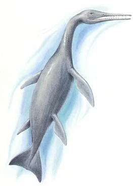 Pelorus | Speculative Evolution Wiki | Fandom