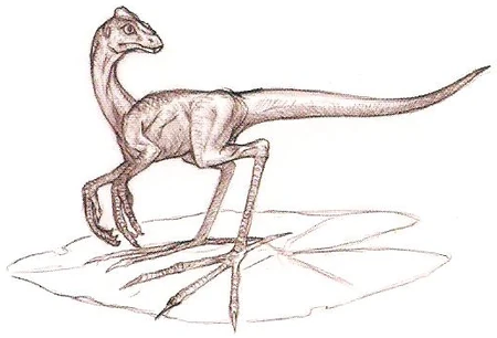 Furcidactylus | Speculative Evolution Wiki | Fandom