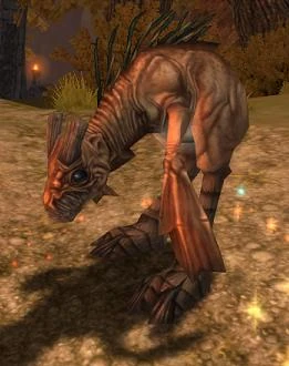 Young Raptor | Spellborn Wiki | Fandom