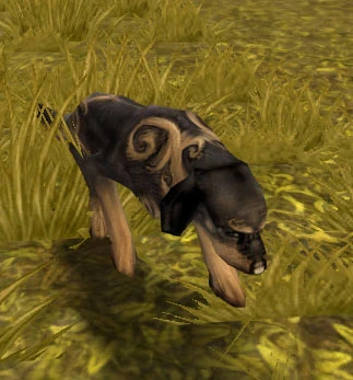 Rabid Dog | Spellborn Wiki | Fandom