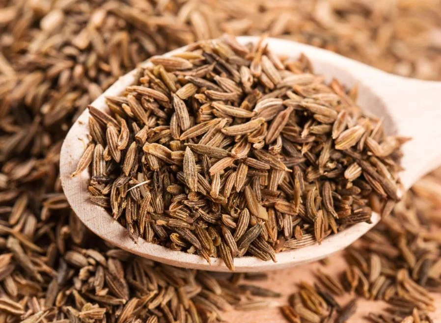 Cumin | Spell Components Wiki | Fandom