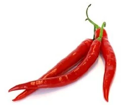 Chili Pepper | Spell Magic Wiki | Fandom