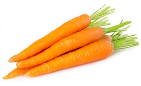 Carrot | Spell Magic Wiki | Fandom