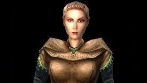 Staff and Shield | Spellforce Wiki | Fandom