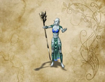 Wintermage (Rune Unit) | Spellforce Wiki | Fandom