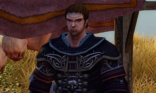 The Messenger (Rune Warrior) | Spellforce Wiki | Fandom