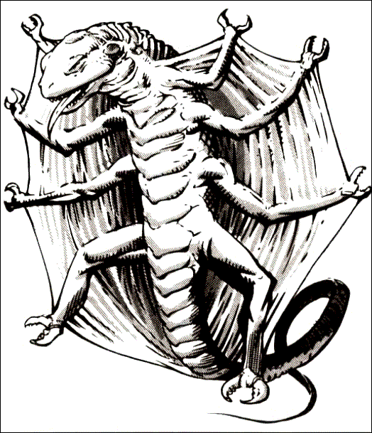 Zard | Spelljammer Wiki | Fandom