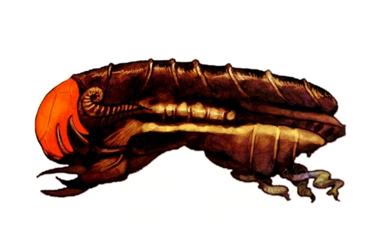 Boreworm | Spelljammer Wiki | Fandom