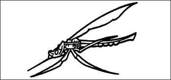 Mosquito | Spelljammer Wiki | Fandom