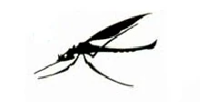 Mosquito | Spelljammer Wiki | Fandom