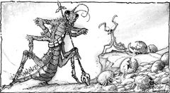 Thri-kreen | Spelljammer Wiki | Fandom