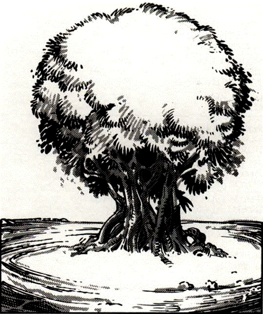 Alchemy plant | Spelljammer Wiki | Fandom