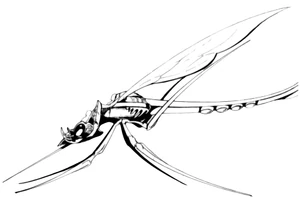 Mosquito | Spelljammer Wiki | Fandom