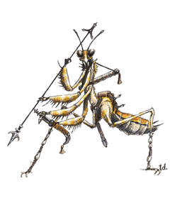 Thri-kreen | Spelljammer Wiki | Fandom