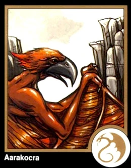 Aarakocra | Spelljammer Wiki | Fandom