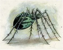 Jade spider (construct) | Spelljammer Wiki | Fandom