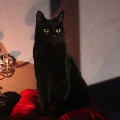 Salem Saberhagen | Spellman Wiki | Fandom