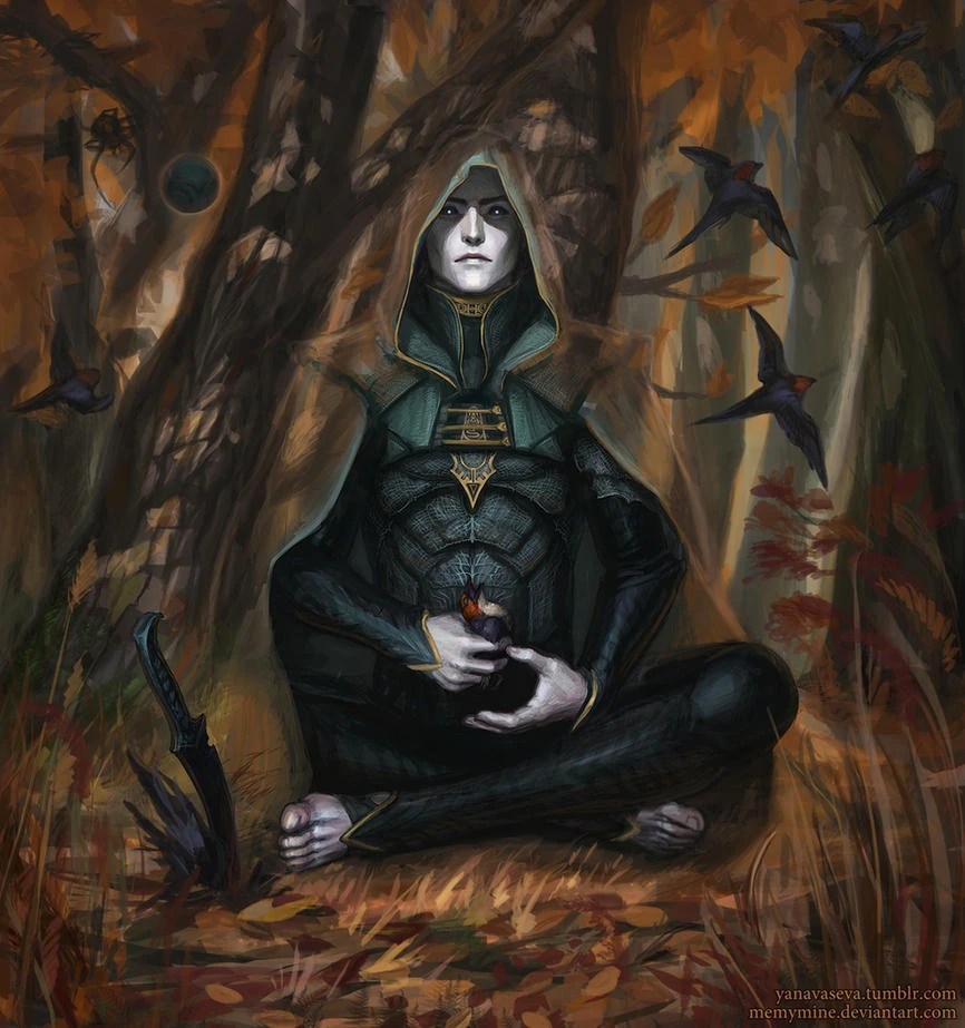 Raer Rinthon | Spellmonger Wiki | Fandom
