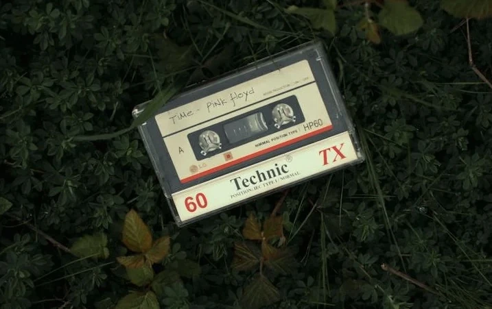 Playback | Spell Book Wiki | Fandom