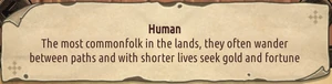 Human | Spellsword Origins Wiki | Fandom