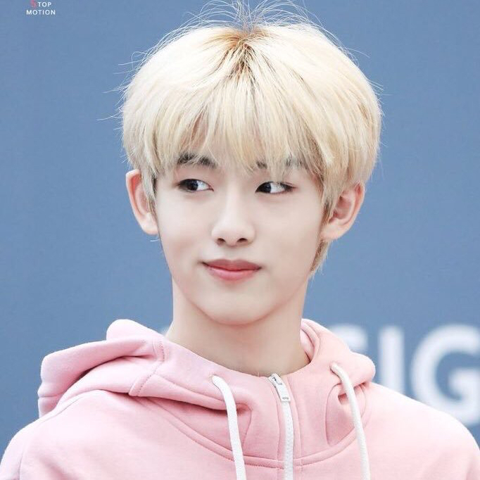 Sicheng "Winwin" Dong | Thespellthatbinds Wiki | Fandom