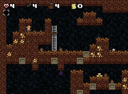 Cave (Classic) | Spelunky Wiki | Fandom