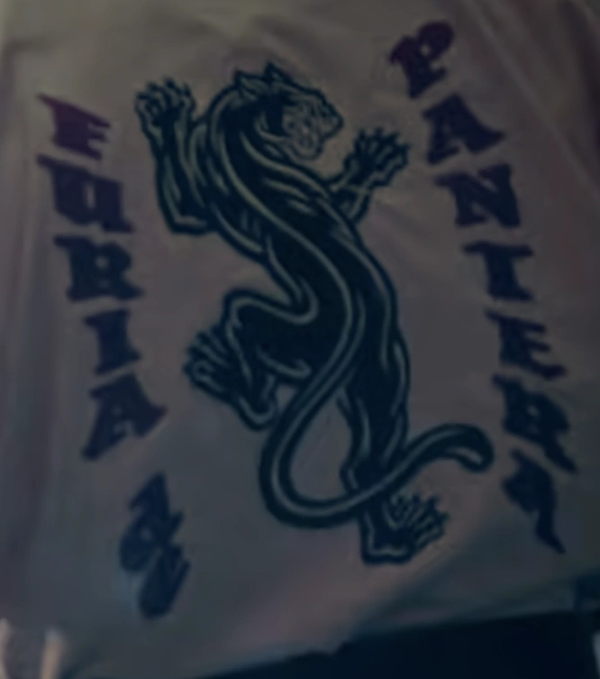 Furia De Pantera | The Same Picture Group Wiki | Fandom