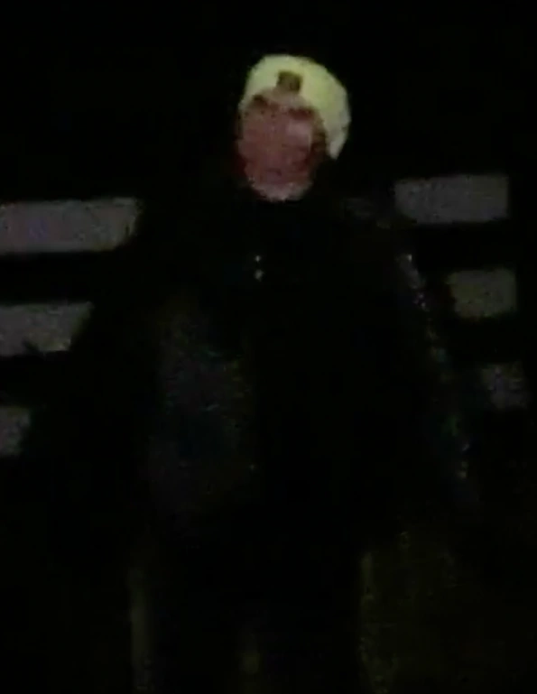 Bridge Walker (Holiday Special) | The Same Picture Group Wiki | Fandom