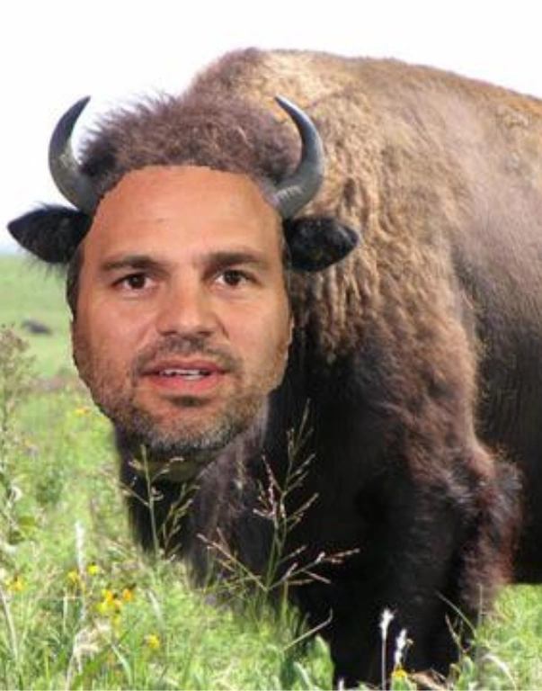 Mark Buffalo | The Same Picture Group Wiki | Fandom