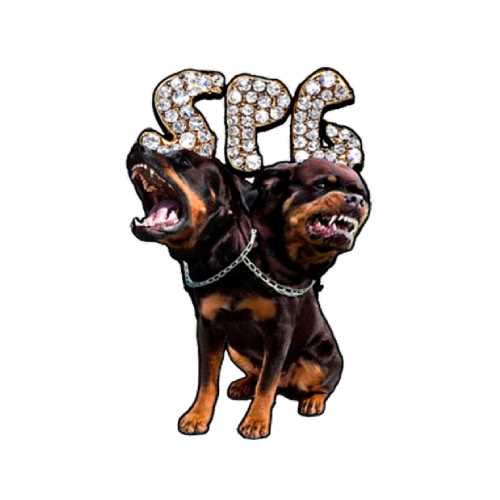 2025 | SPG Wiki | Fandom