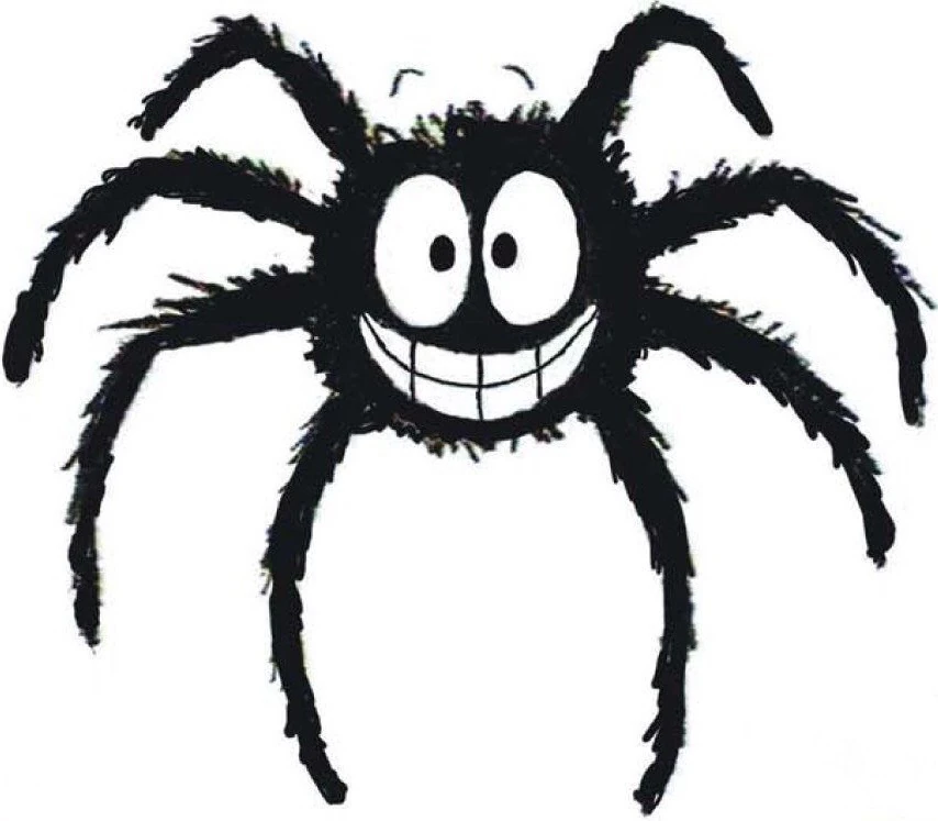Spider | Spider! Cartoon Wiki | Fandom