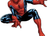 Category:Spider-Man Variations | Spider-Man Wiki | Fandom
