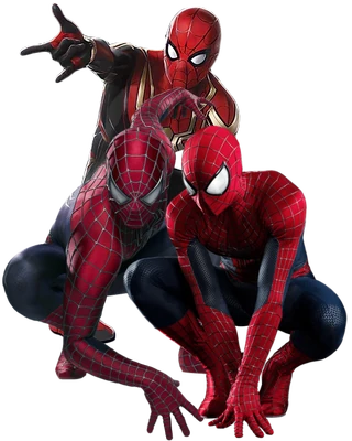 Spider Gang | Spiderman Fanon | Fandom