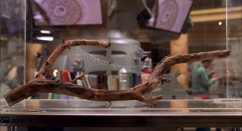 Spiders | Spider-Man Trilogy Wiki | Fandom