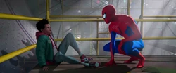 Spider-Man | Spider-Man: Into the Spider-Verse Wiki | Fandom