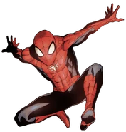 Spider-Man | Spider-Man: Into the Spider-Verse Wiki | Fandom