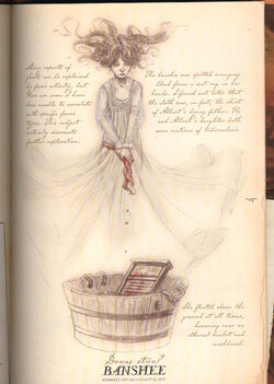 Banshee | Spiderwick Chronicles Wiki | Fandom