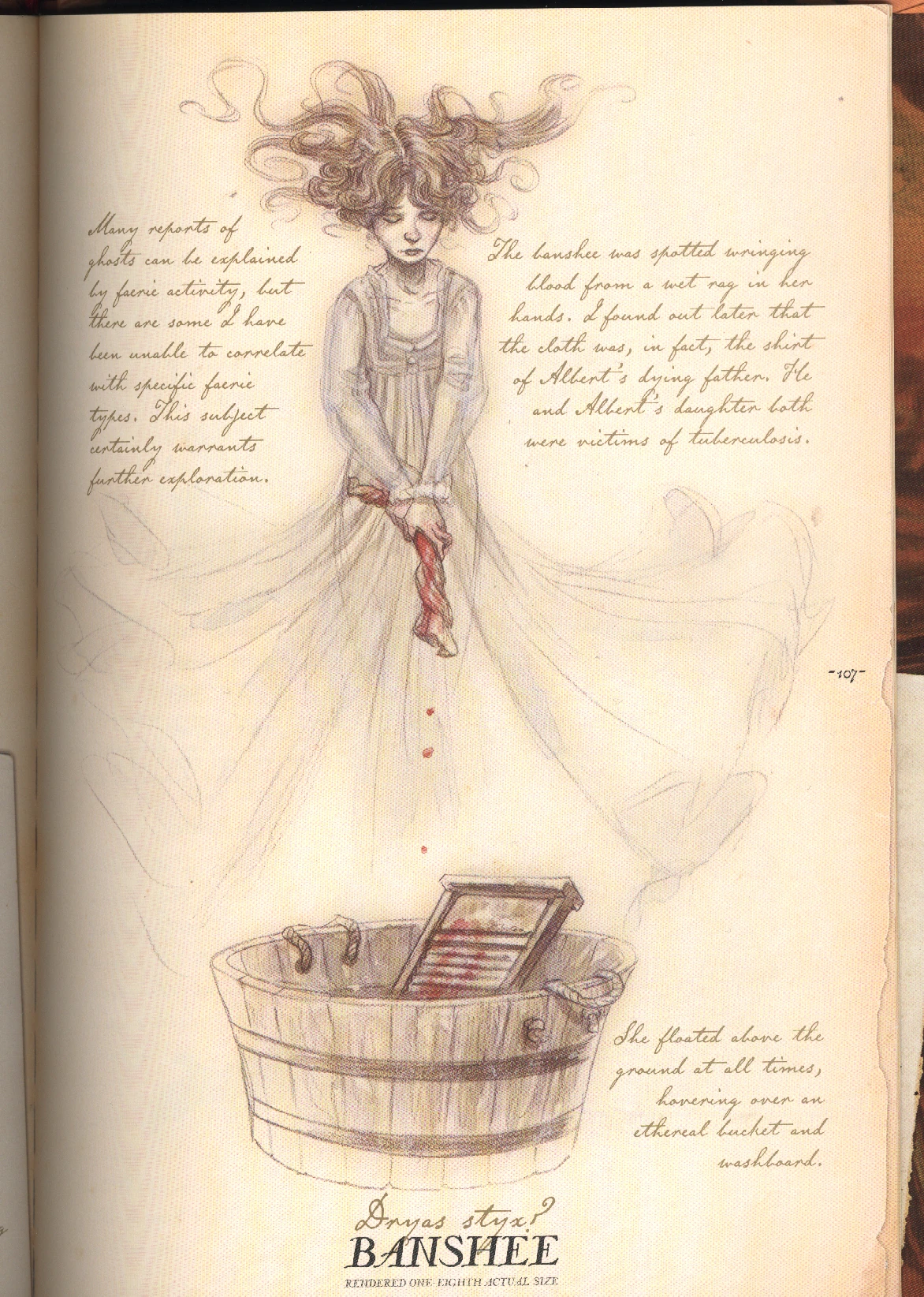 Banshee | Spiderwick Chronicles Wiki | Fandom