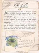 Merfolk | Spiderwick Chronicles Wiki | Fandom