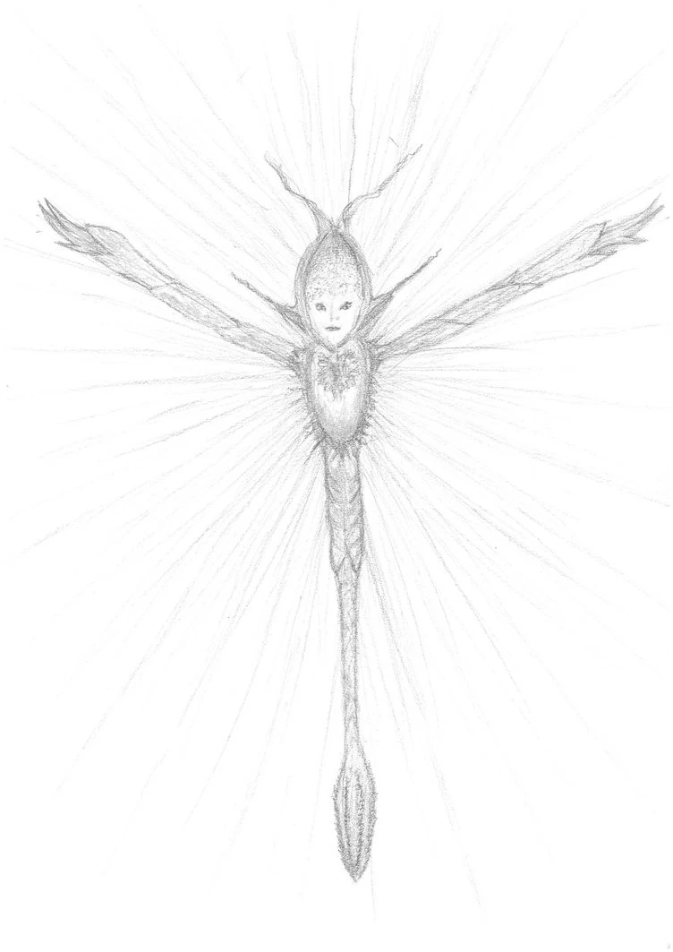 Spiderwick Fairies Real