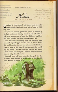 Nixie | Spiderwick Chronicles Wiki | Fandom