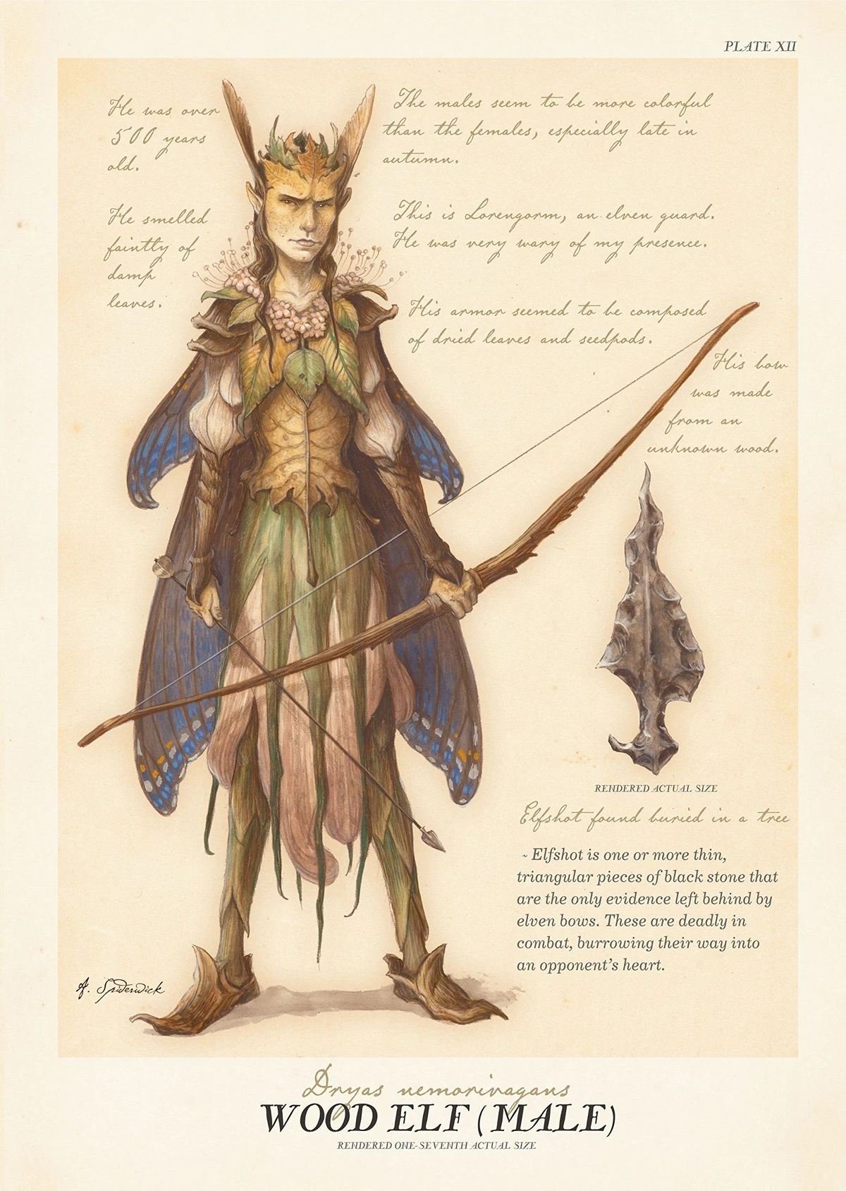 Elf | Spiderwick Chronicles Wiki | Fandom