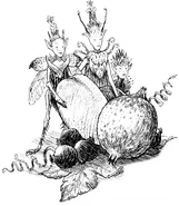 Sprite | Spiderwick Chronicles Wiki | Fandom